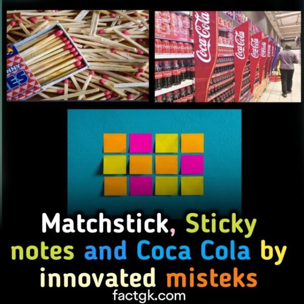 Top 5 Amazing Facts - Fact Gk